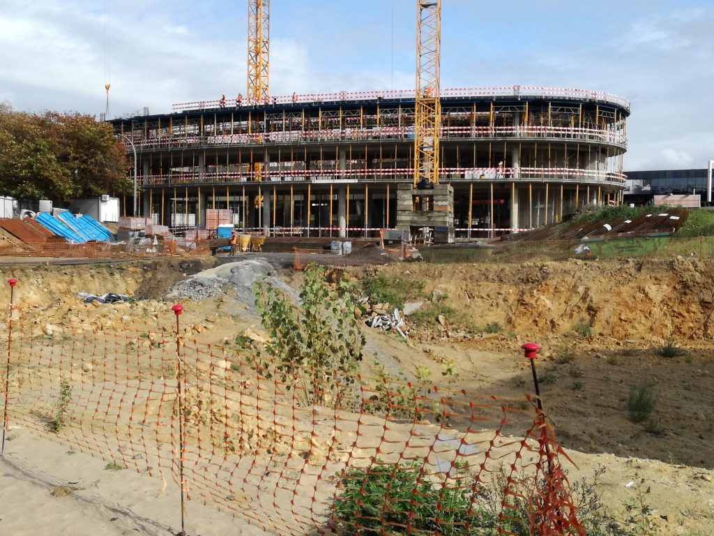 Adjudicação ÍCON AGEAS - SteelGreen S.A